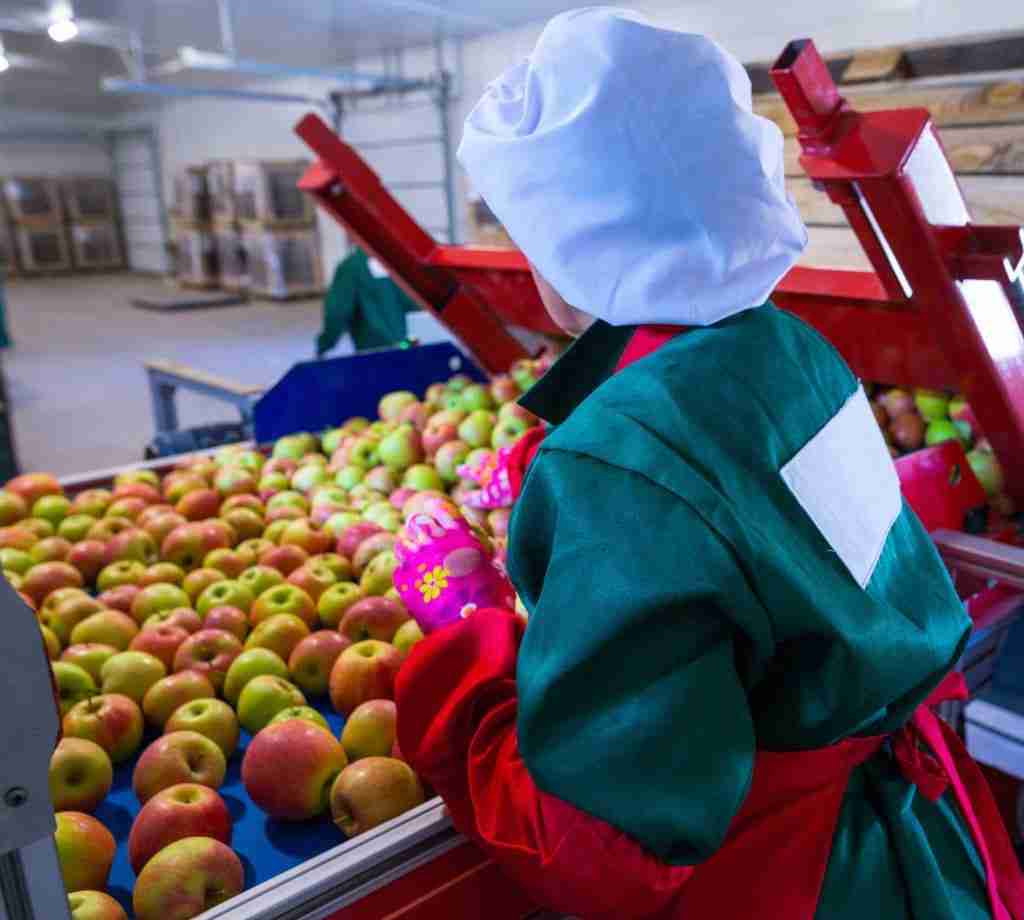 Agricultural Product Storage Logistics | Cold Chain 3PL